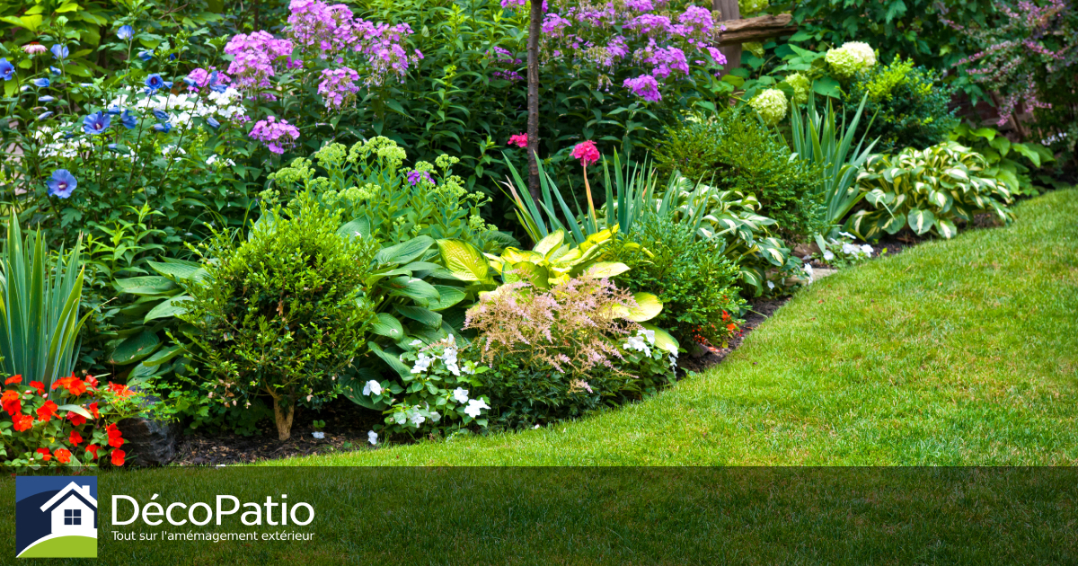 Plantes et Jardins - Cultivez Votre Paradis Vert